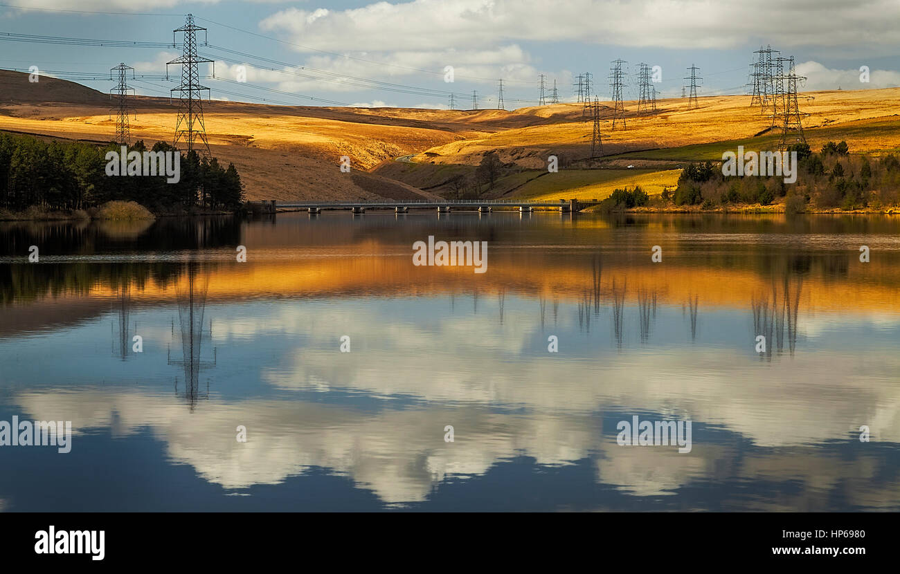 Yorkshire Trees of Steel Stock Photo - Alamy