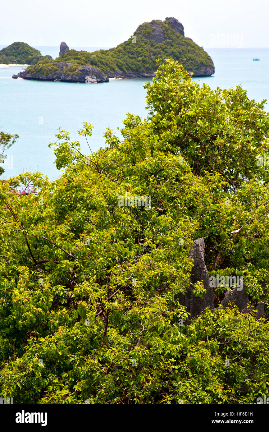boat coastline of a green lagoon and tree south china sea thailand kho ...