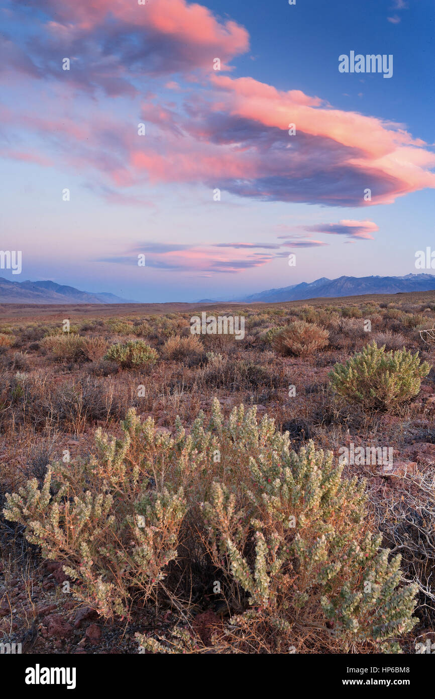 Volcanic Tablelands in California Stock Photo - Alamy