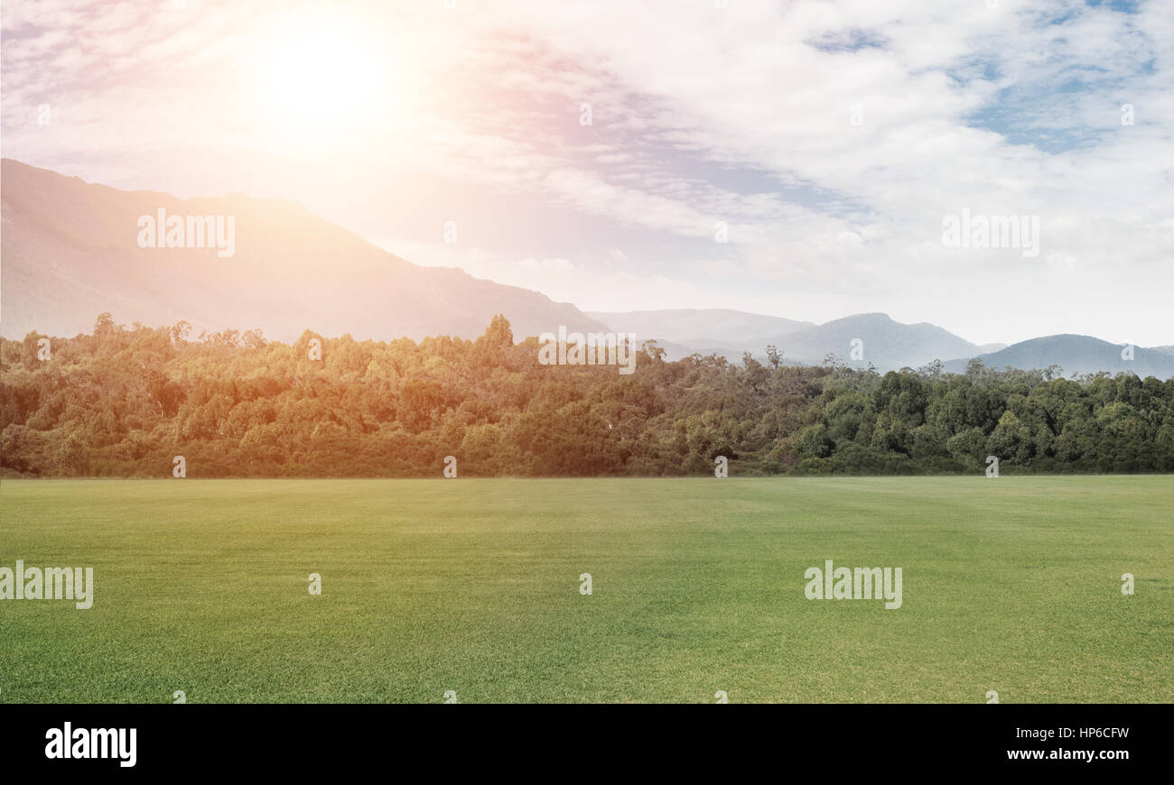 Natural landscape with green field in lights of summer sun Stock Photo ...