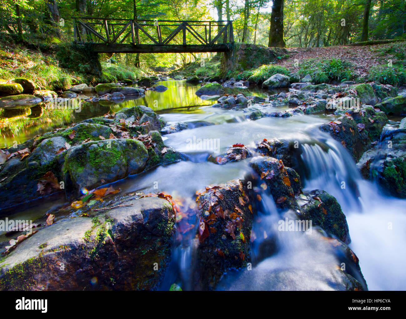 Freshwaters hi-res stock photography and images - Alamy