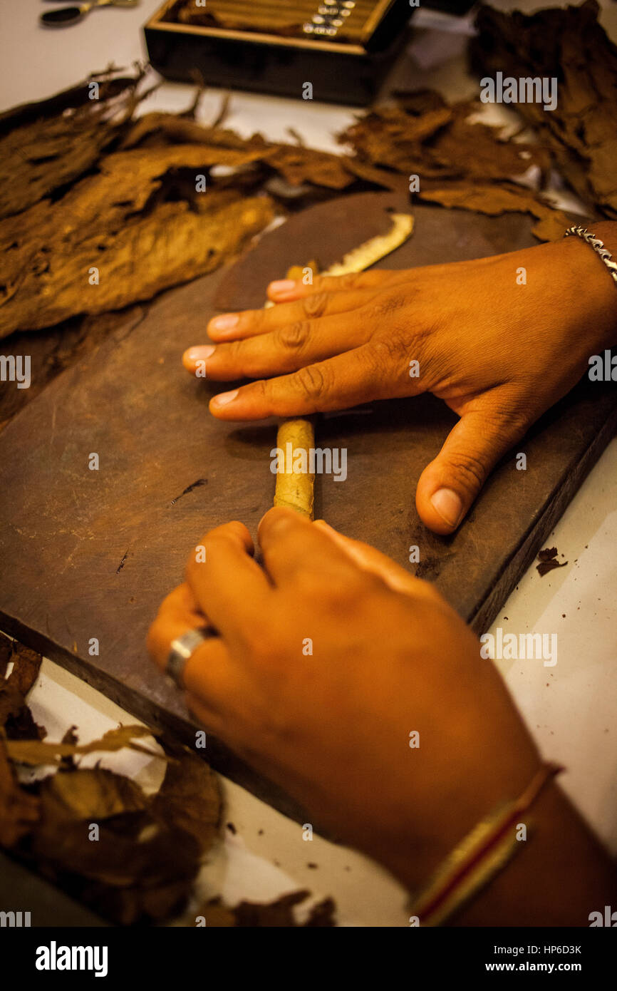 Cigar shop,making cigars, in Hotel Barcelo, Punta Cana, Dominican ...
