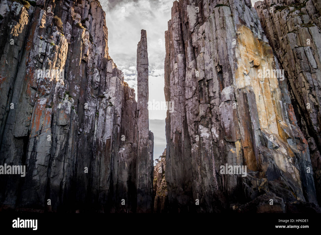 Capepillar hi-res stock photography and images - Alamy