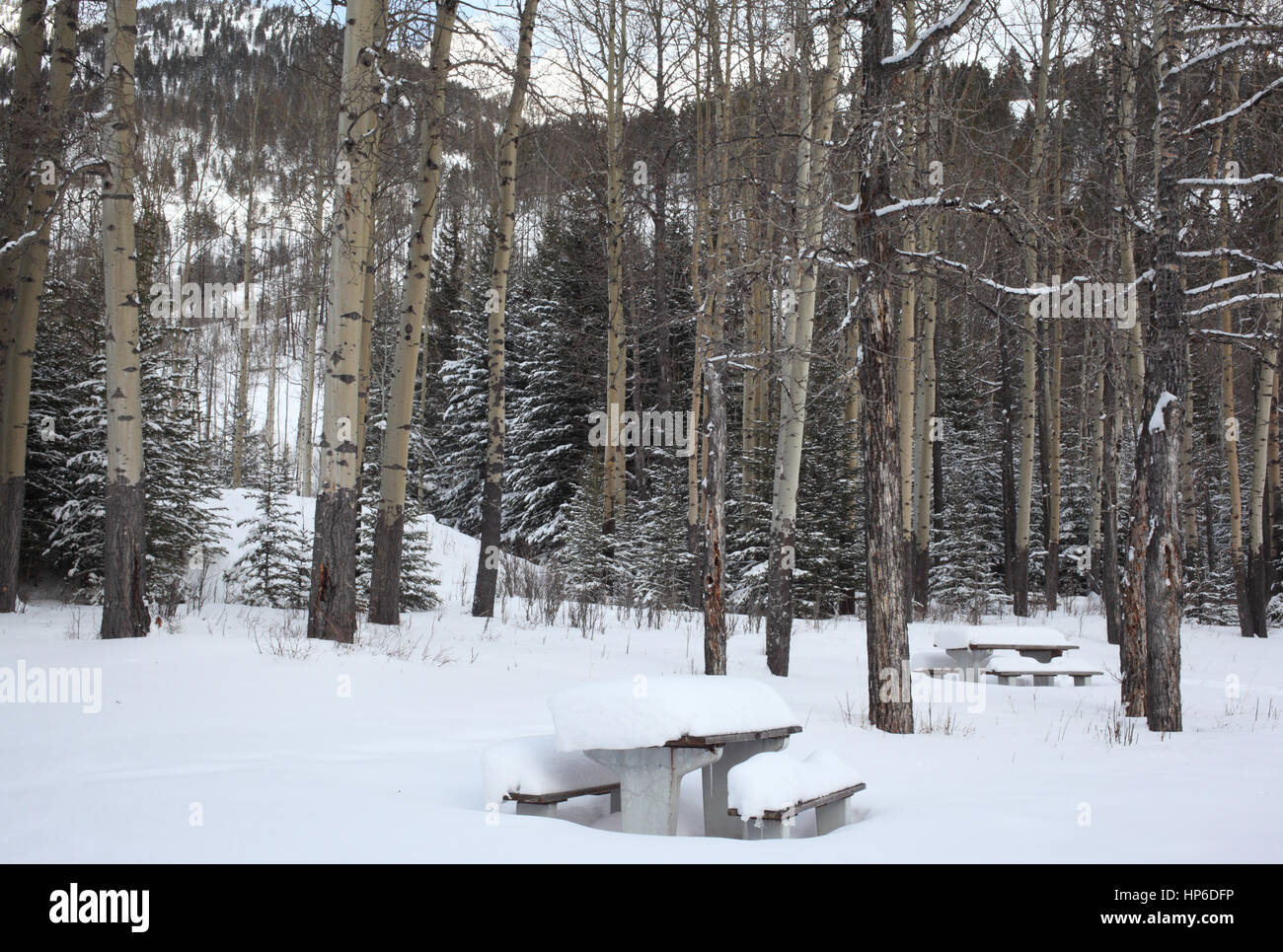 Rest snow hi-res stock photography and images - Alamy