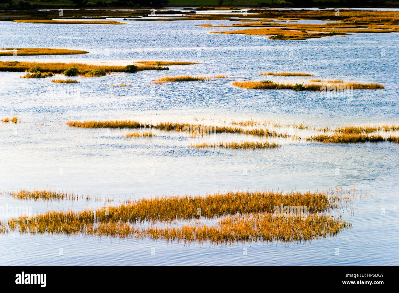 Salt marsh scenic hi-res stock photography and images - Alamy