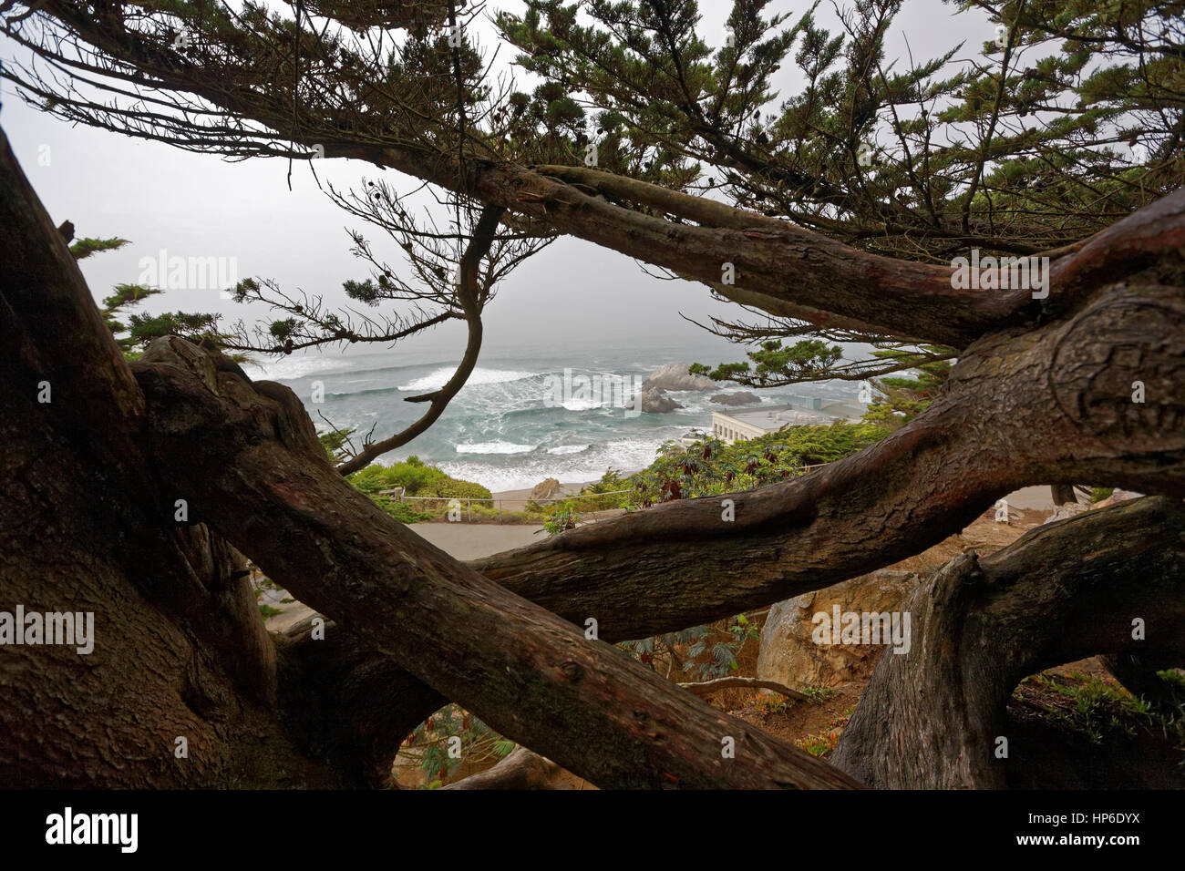 Seal Rock with a partial view of the Cliff House in San Francisco, CA ...