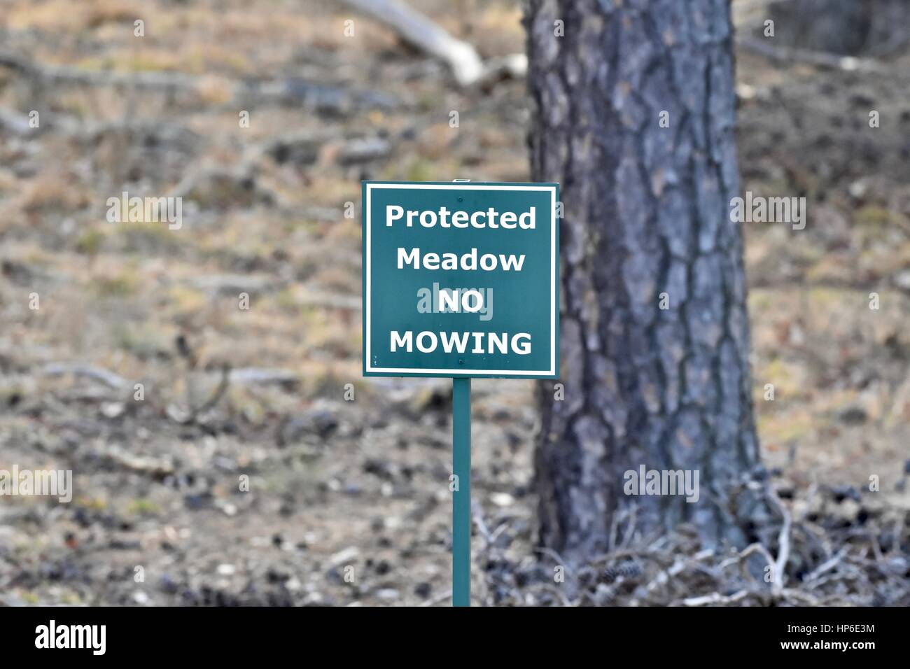 Meadow sign hi-res stock photography and images - Alamy