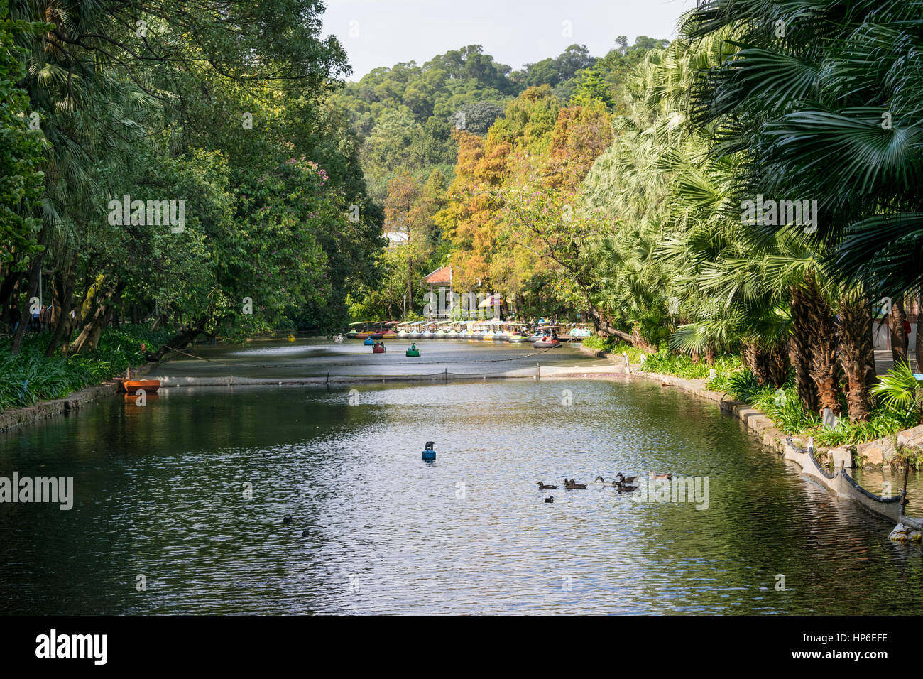 Yuexiu Park in Guangzhou, China Stock Photo - Alamy
