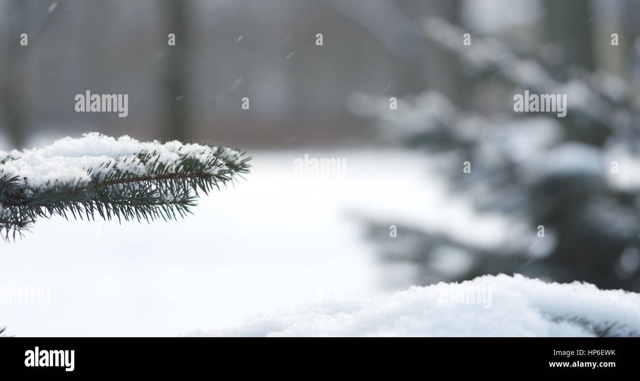 4k falling snow in winter hi-res stock photography and images - Alamy