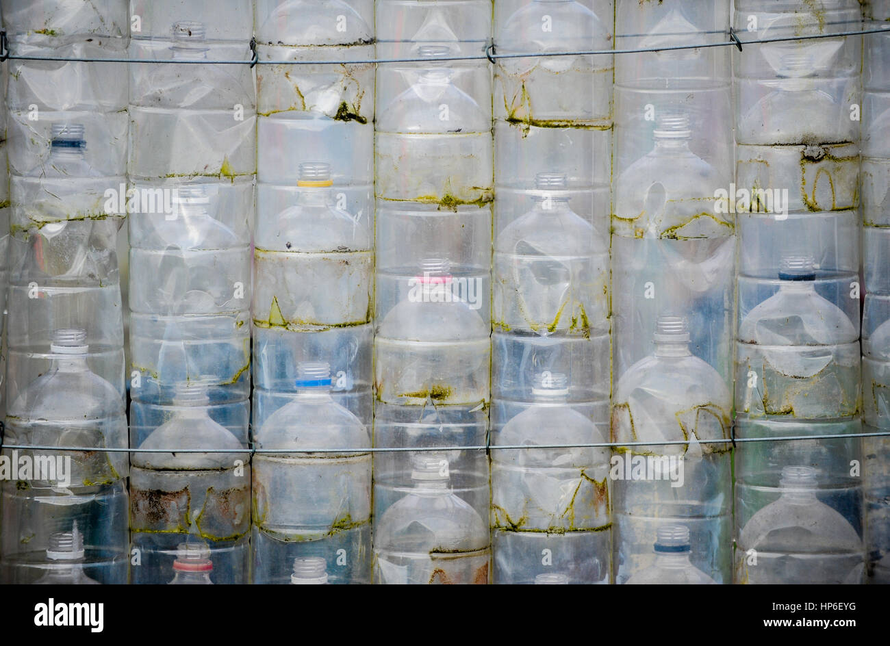 A close up of recycled plastic bottles stacked together Stock Photo - Alamy