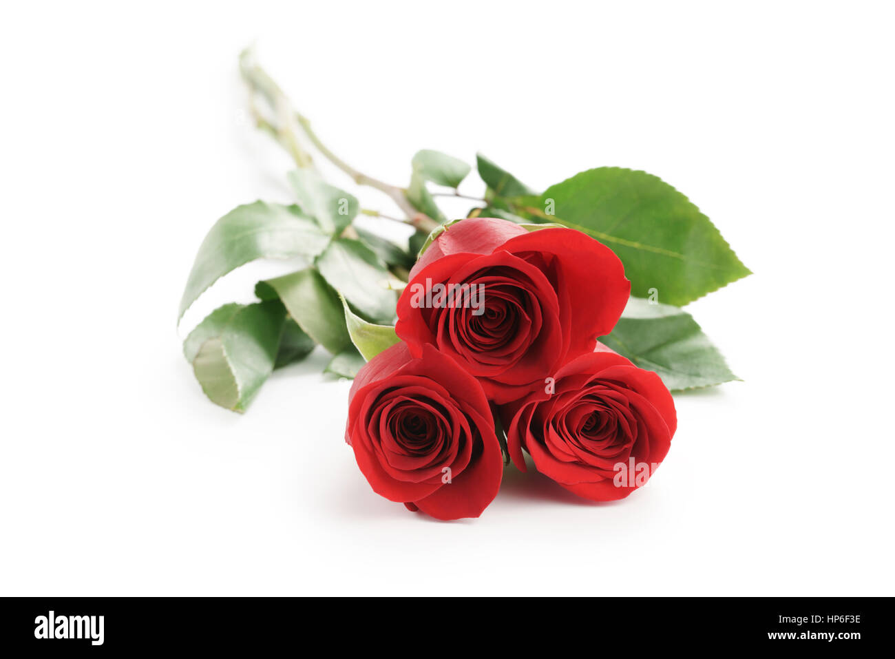 three fresh red roses isolated on white background Stock Photo - Alamy