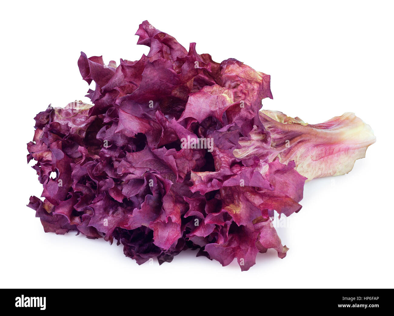 Purple lettuce hi-res stock photography and images - Alamy