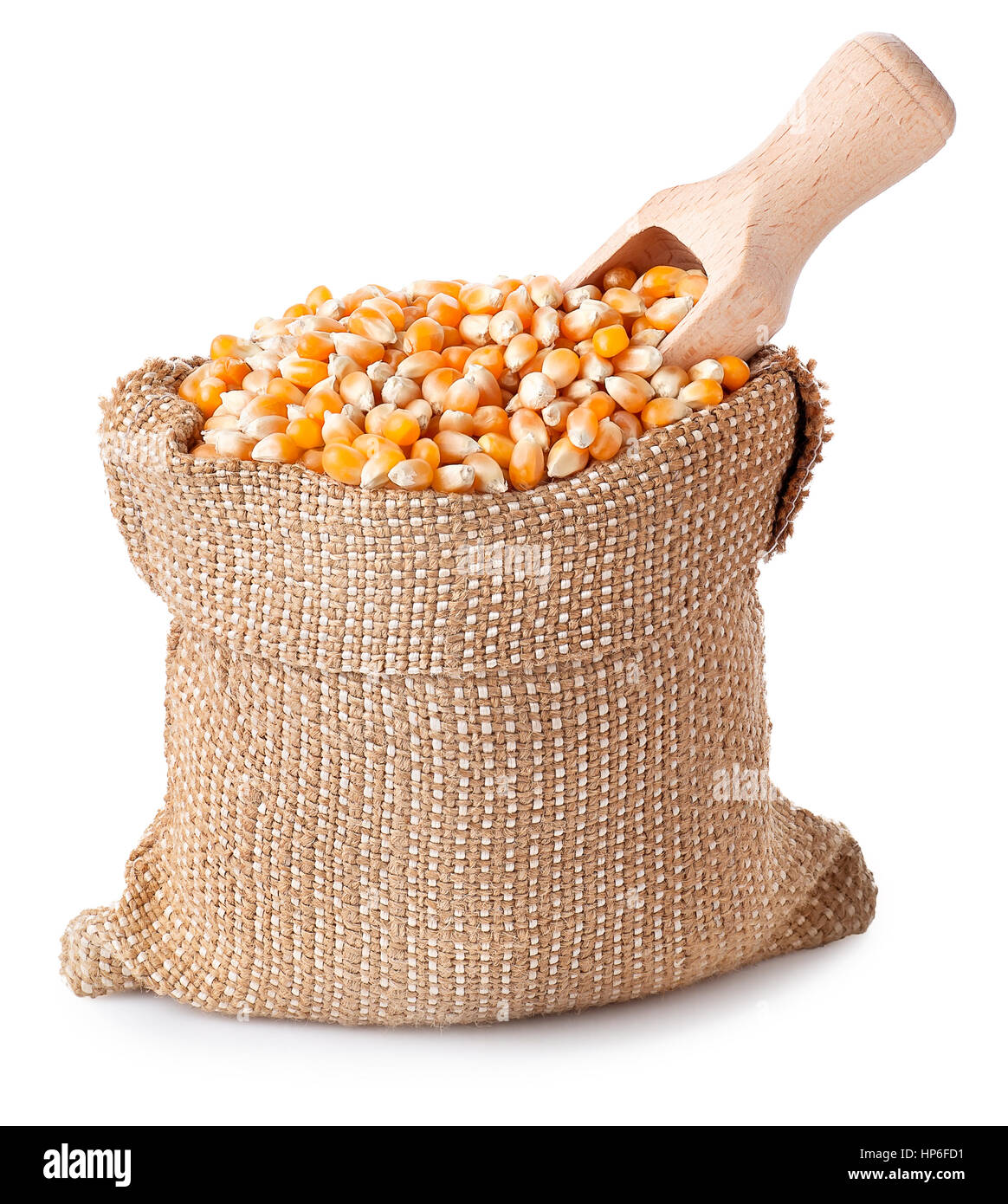 Corn with wooden scoop in burlap bag isolated on white. Corn seeds in ...