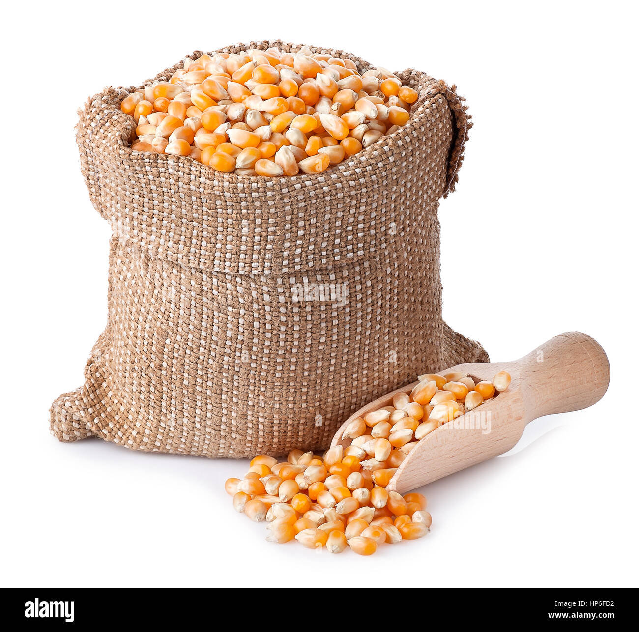 corn grains in bag with wooden scoop isolated on white background. Corn ...