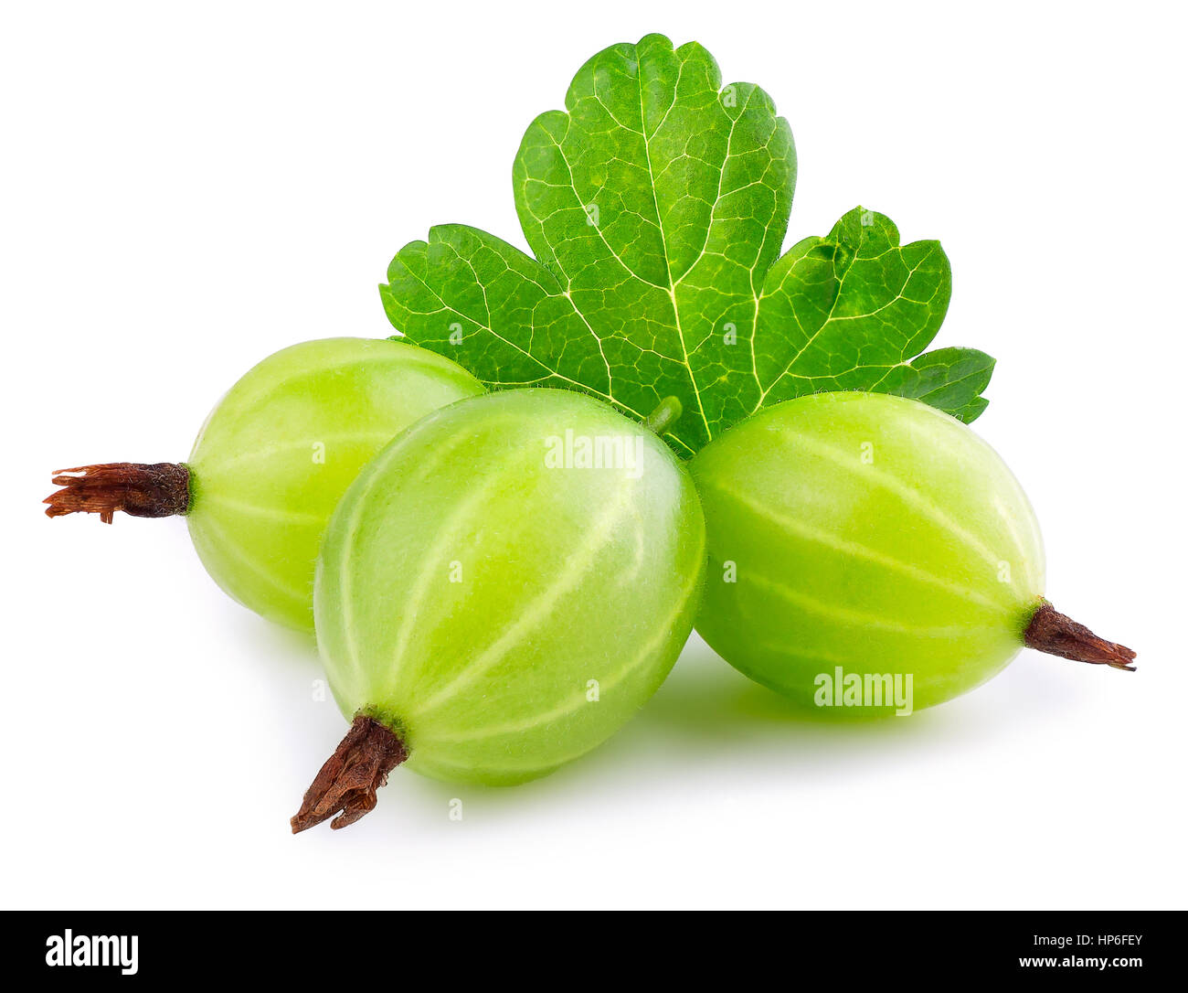 Gooseberry isolated on white background. Heap of green ripe gooseberry ...