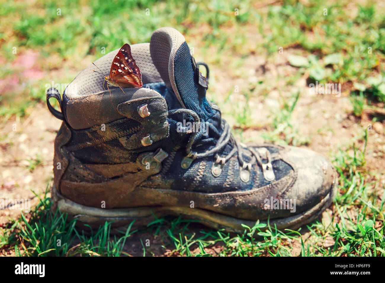 dirty old shoe on ground. Retro faded photo of dirty walking boots in green grass. Muddy hiking ...