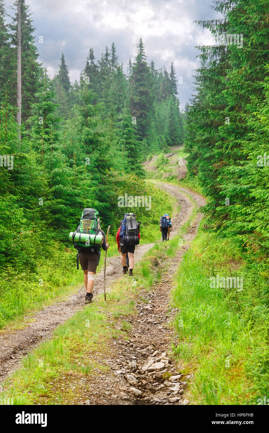 Group of hikers on a path through the forest in the mountains. Group of ...