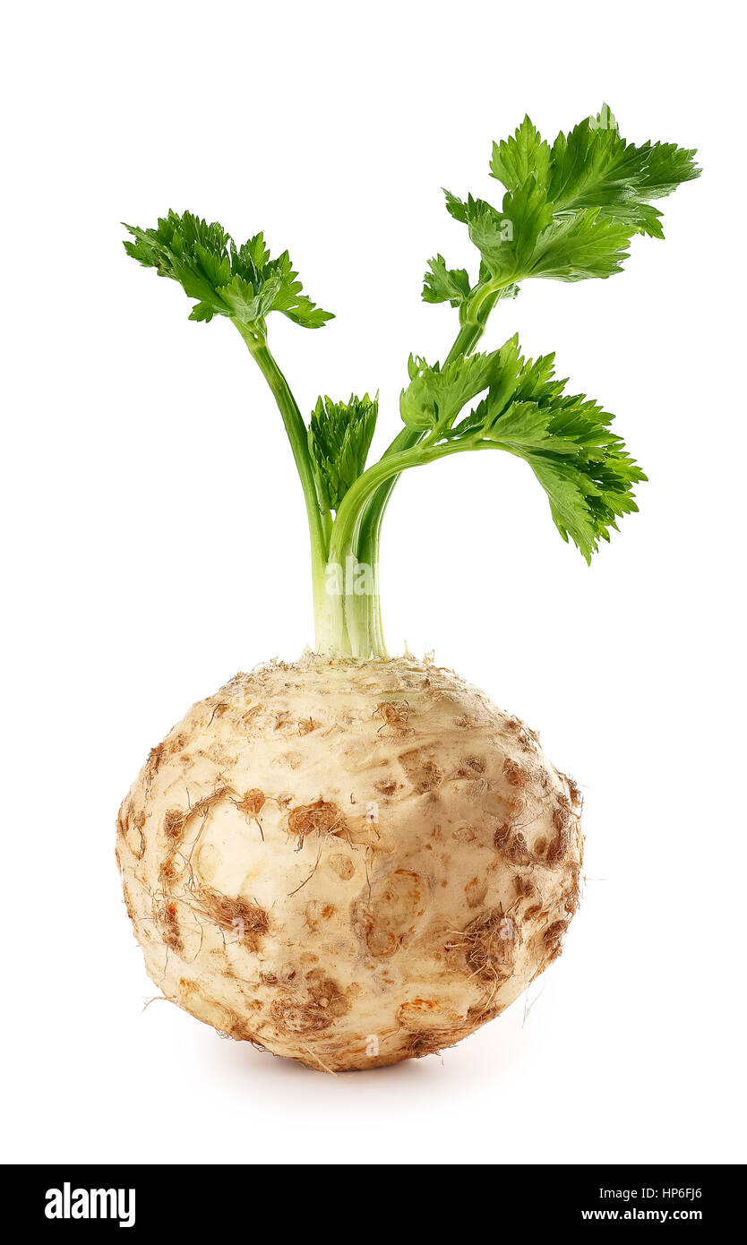 Fresh celery root with leaf isolated on white background, vertical ...