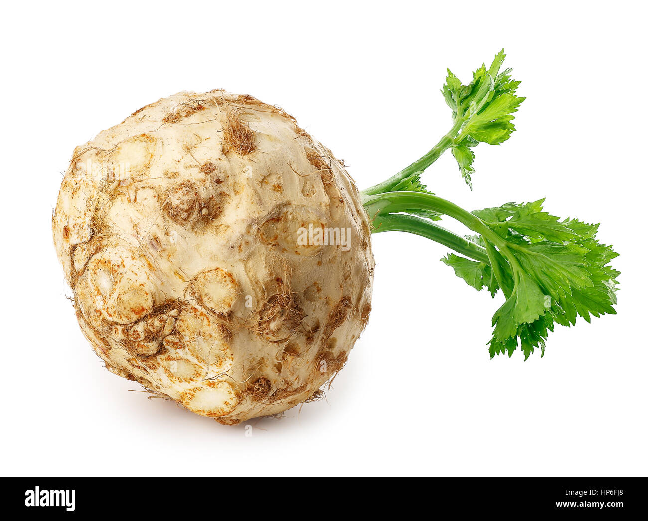 Fresh celery root with leaf isolated on white background, horizontal ...