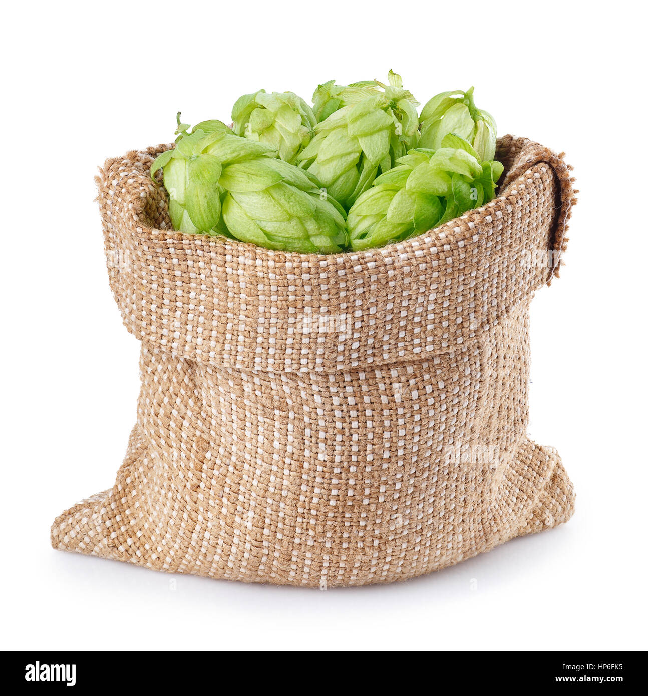 Fresh green hops in burlap bag isolated on white background. Hop cones ...