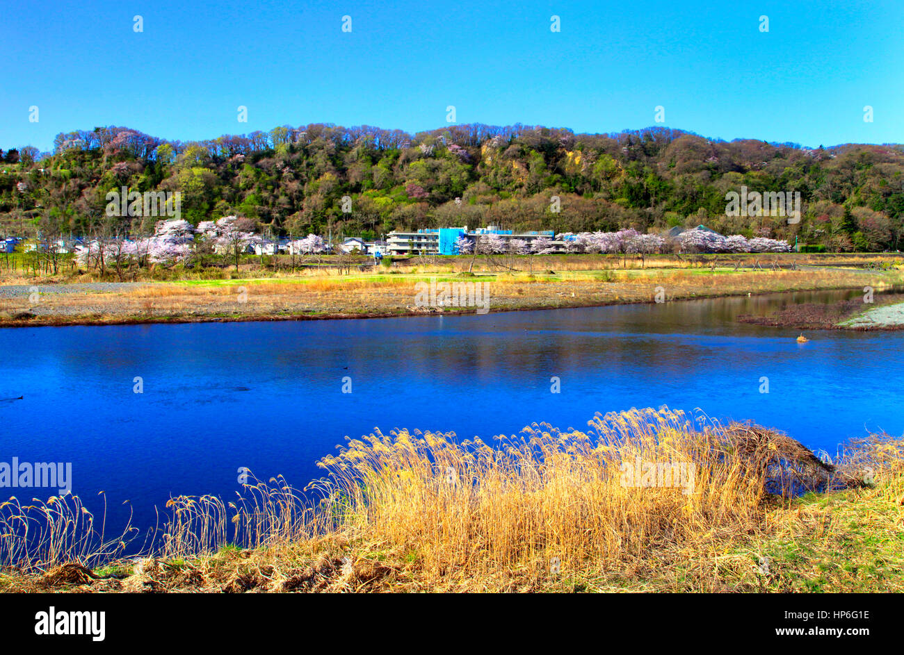 Tamagawa River in Hamura city Western Tokyo Japan Stock Photo - Alamy