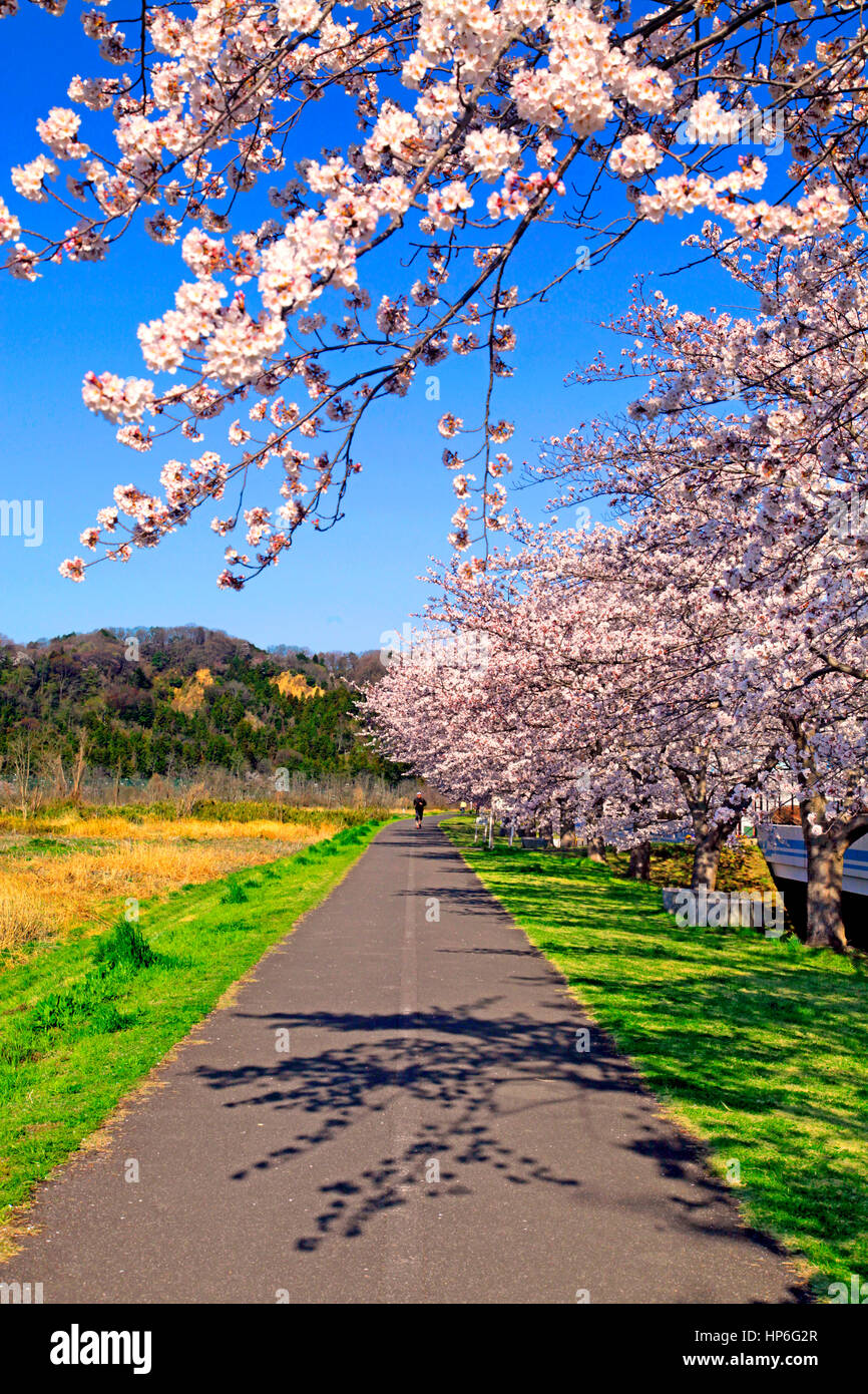 Tama river embankment hi-res stock photography and images - Alamy