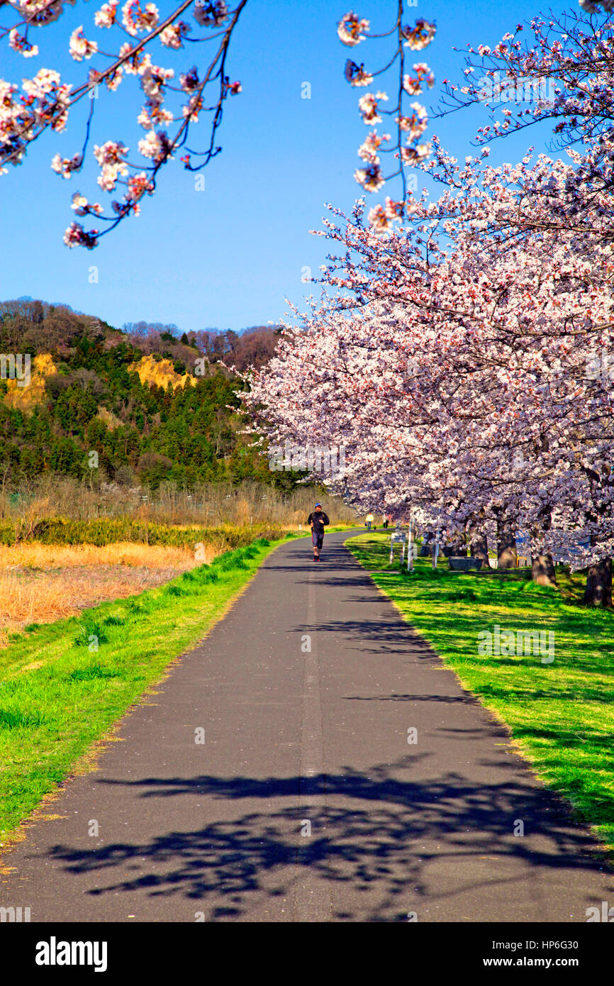 Tama river embankment hi-res stock photography and images - Alamy