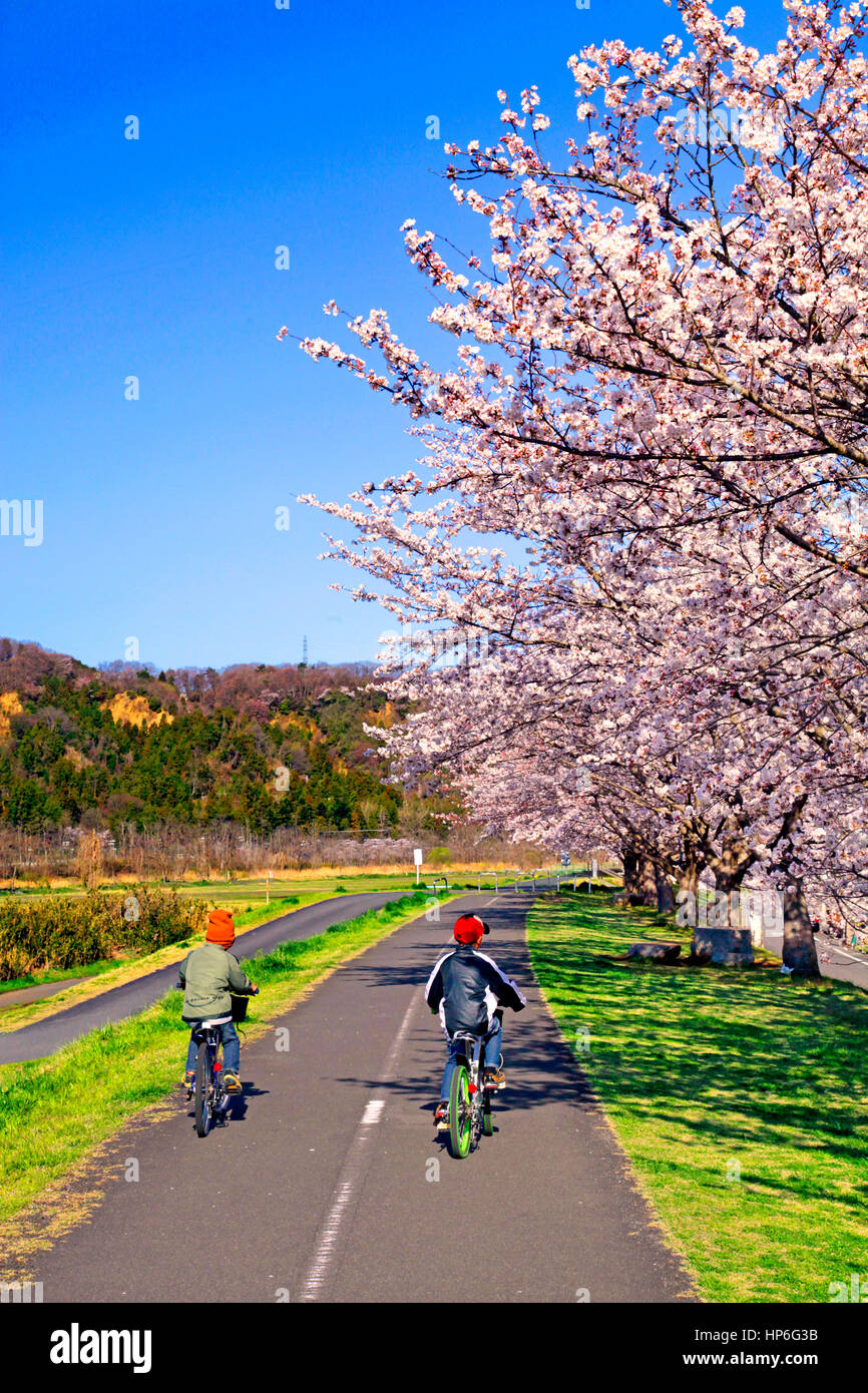 Tama river embankment hi-res stock photography and images - Alamy