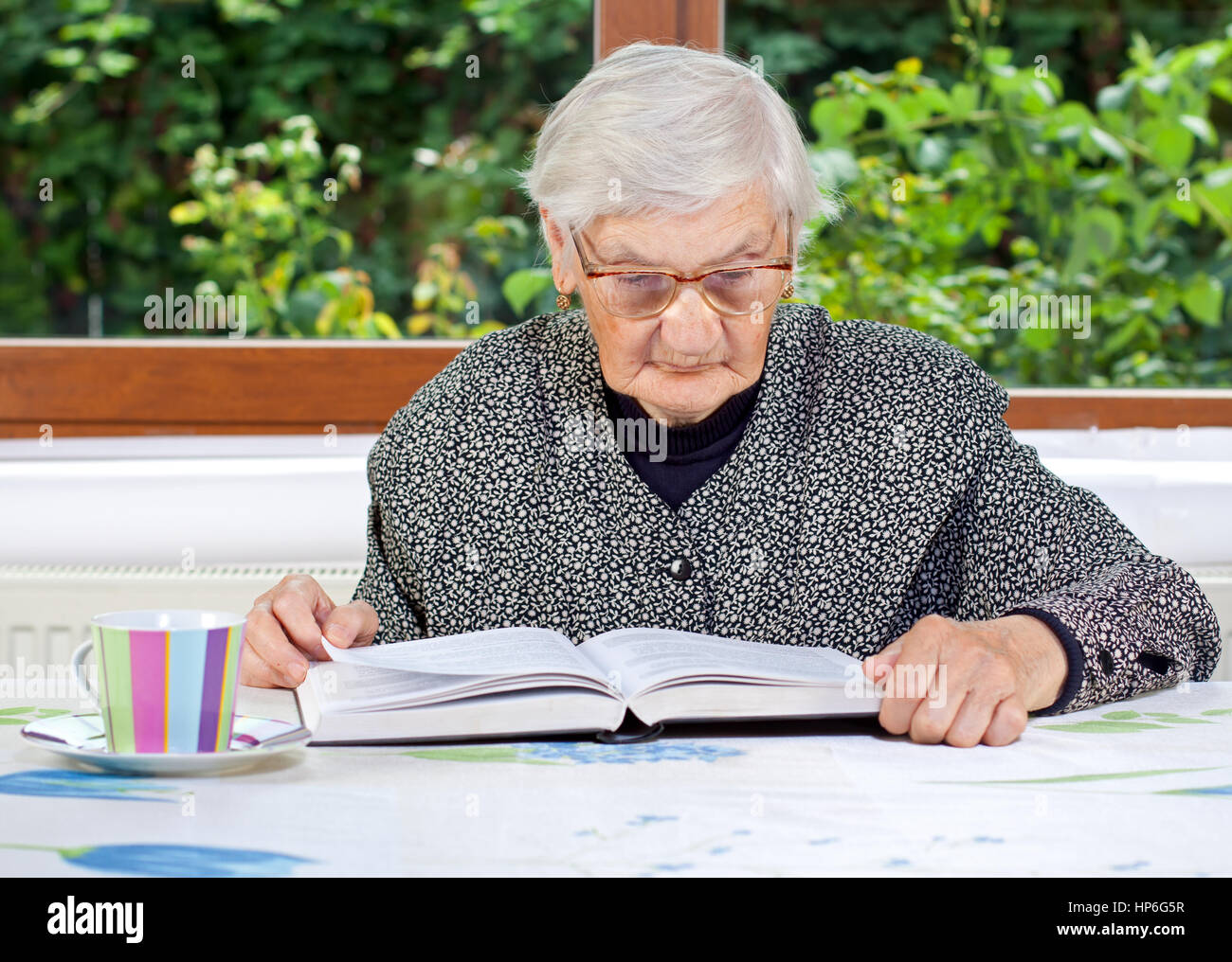 Happy elderly woman reading a book in the room Stock Photo - Alamy