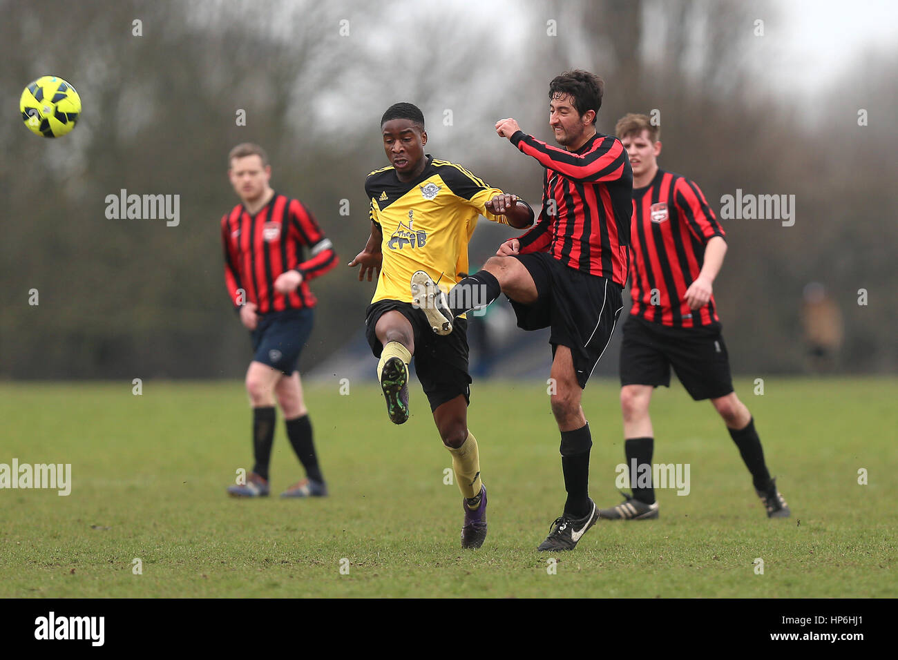 Boroughs United (yellow) vs South London Sharks, Hackney & Leyton ...