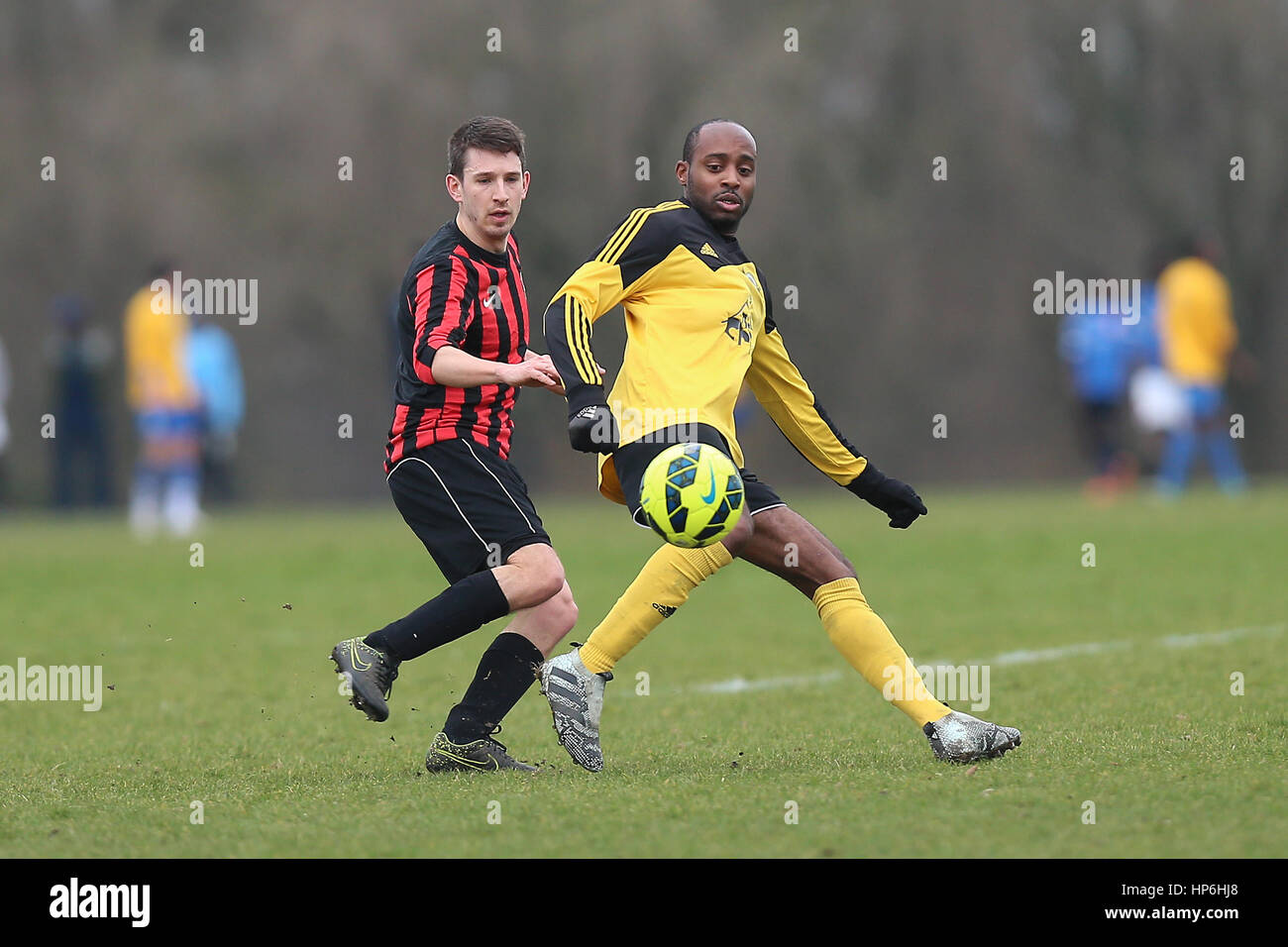 Boroughs United (yellow) vs South London Sharks, Hackney & Leyton ...