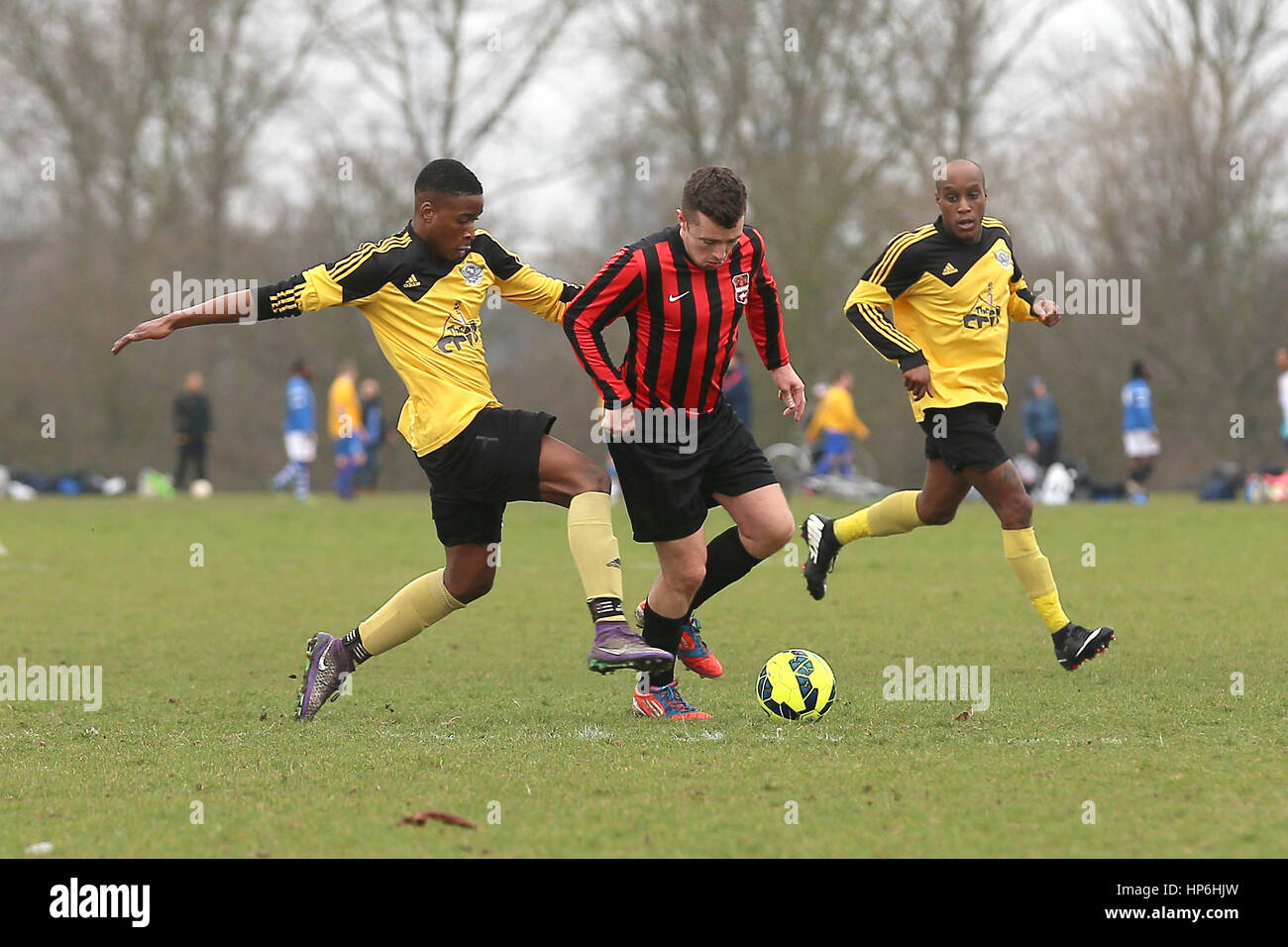 Boroughs United (yellow) vs South London Sharks, Hackney & Leyton ...