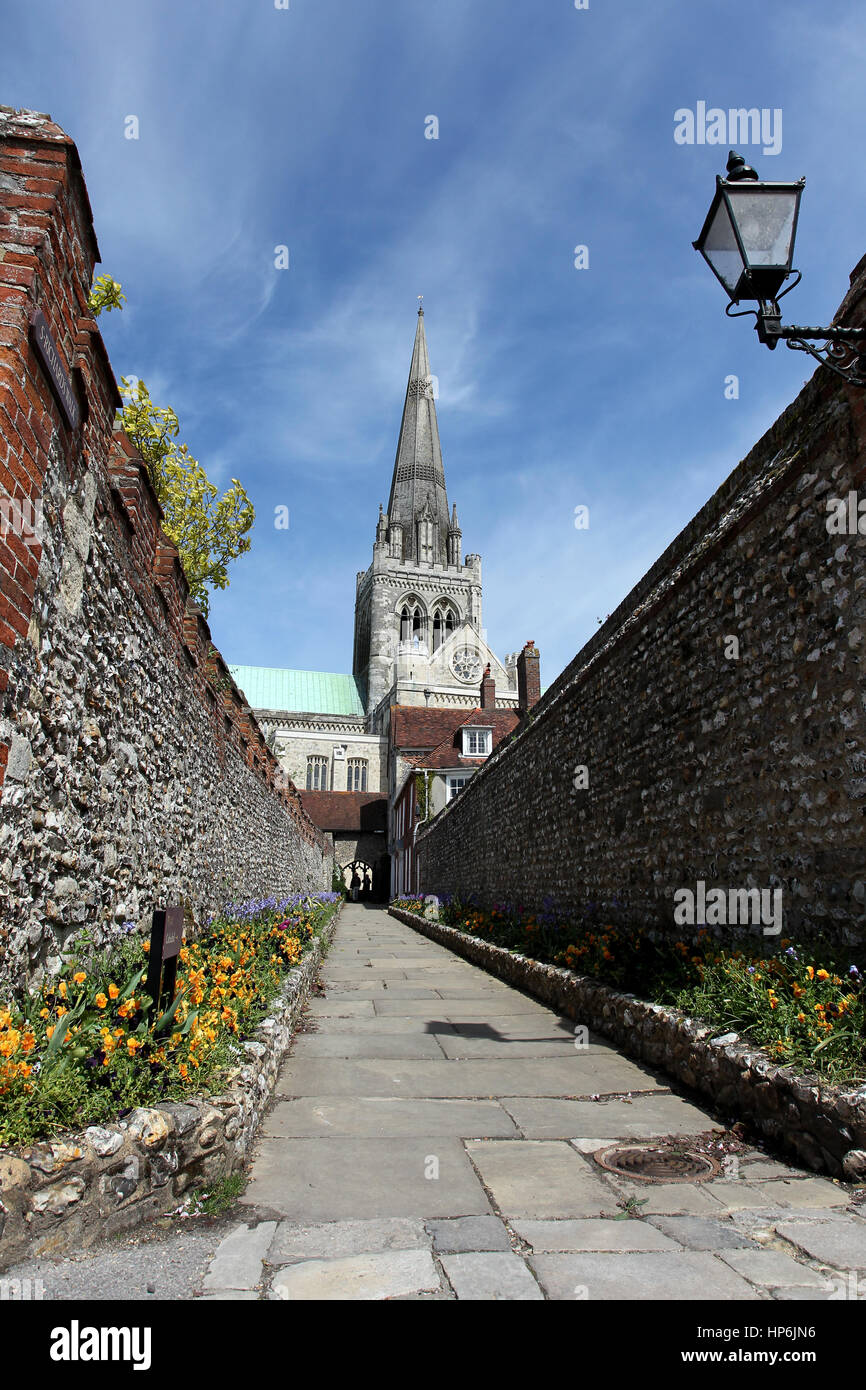 Chichester gardens cathedral summer hi-res stock photography and images ...