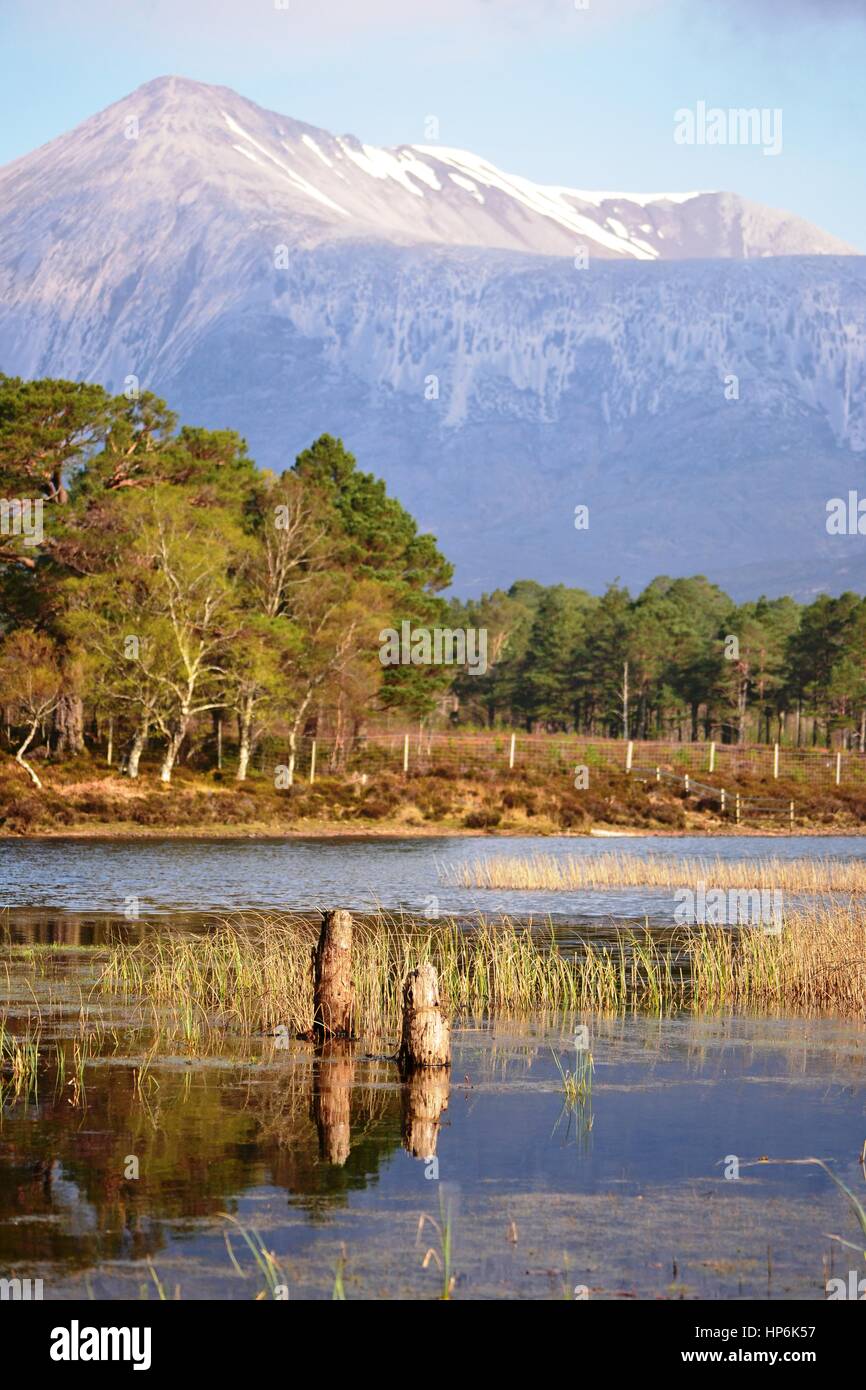Torridon range scotland hi-res stock photography and images - Alamy