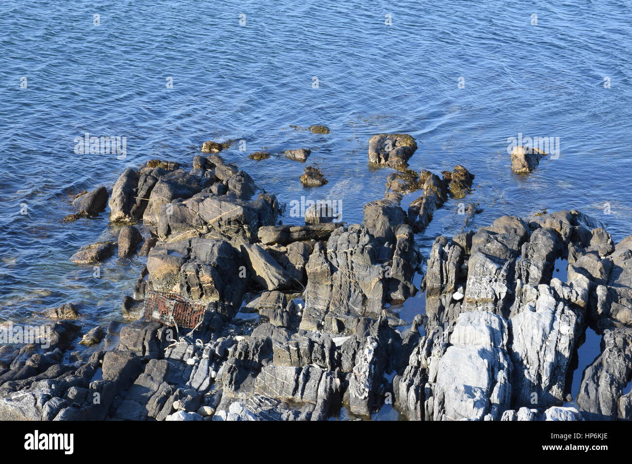 Shore of Flint Point lookout in Sachuest Point National Wildlife Refuge ...