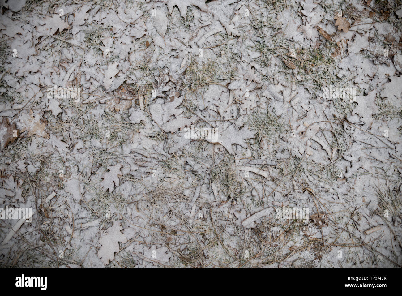 snow and frost on the ground, background or texture Stock Photo - Alamy
