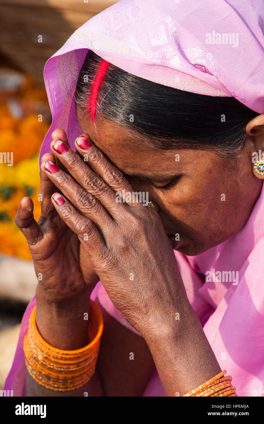 India praying cow hi-res stock photography and images - Alamy