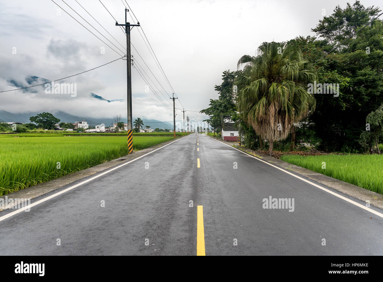 Empty straight road with paddy field on the side Stock Photo - Alamy
