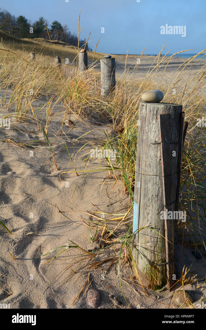 A vertical shot of wooden posts along a sandy beach on Lake Superior ...