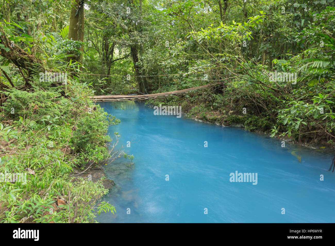 Blue river in the jungle forest / nature landscape Stock Photo - Alamy