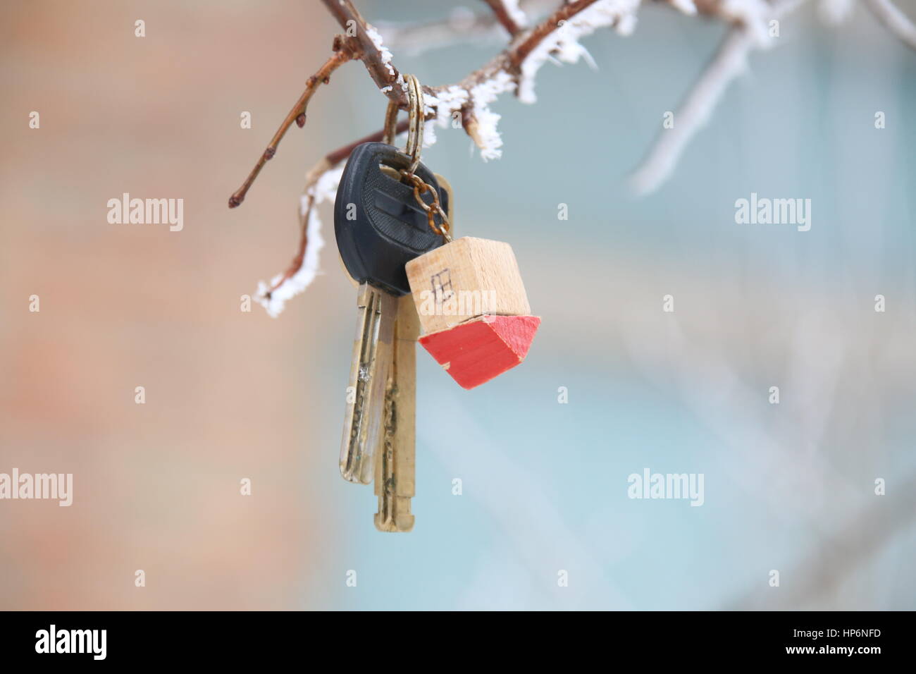 House keys with House Keychain Stock Photo - Alamy