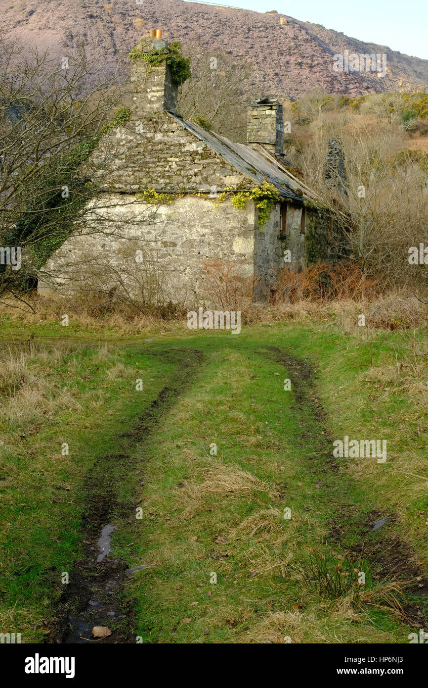 abandoned cottage in a mountain landscape in Wales Stock Photo - Alamy