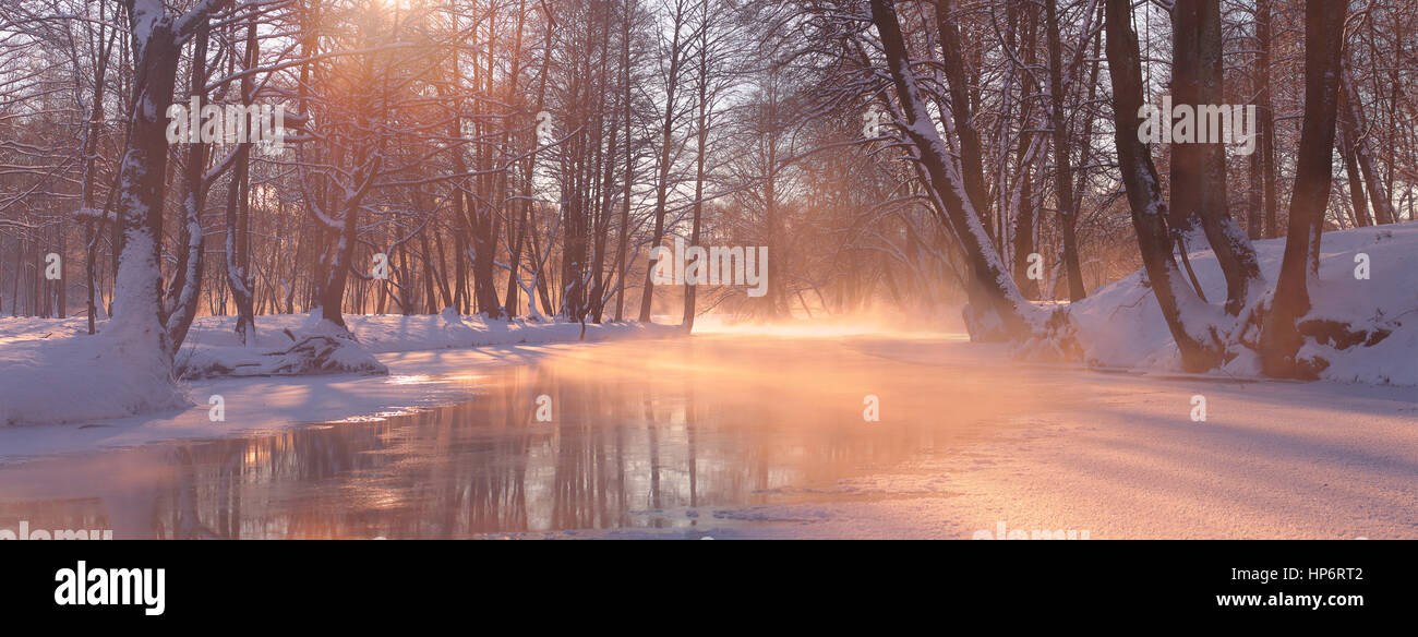 Sunny winter background. Beautiful winter landscape with sun beams ...