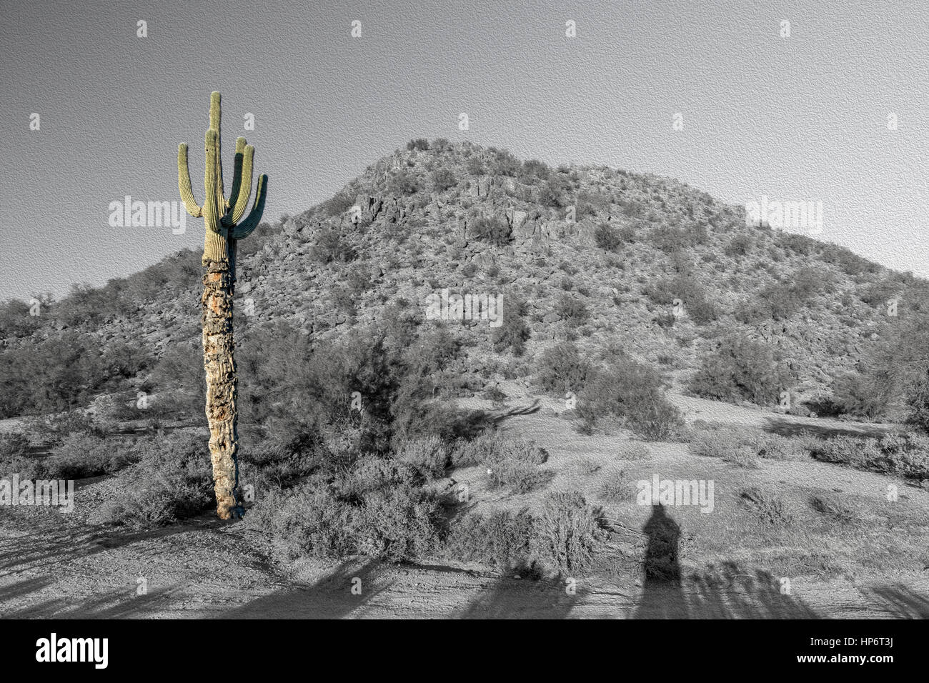 Arizona desert painting hi-res stock photography and images - Alamy