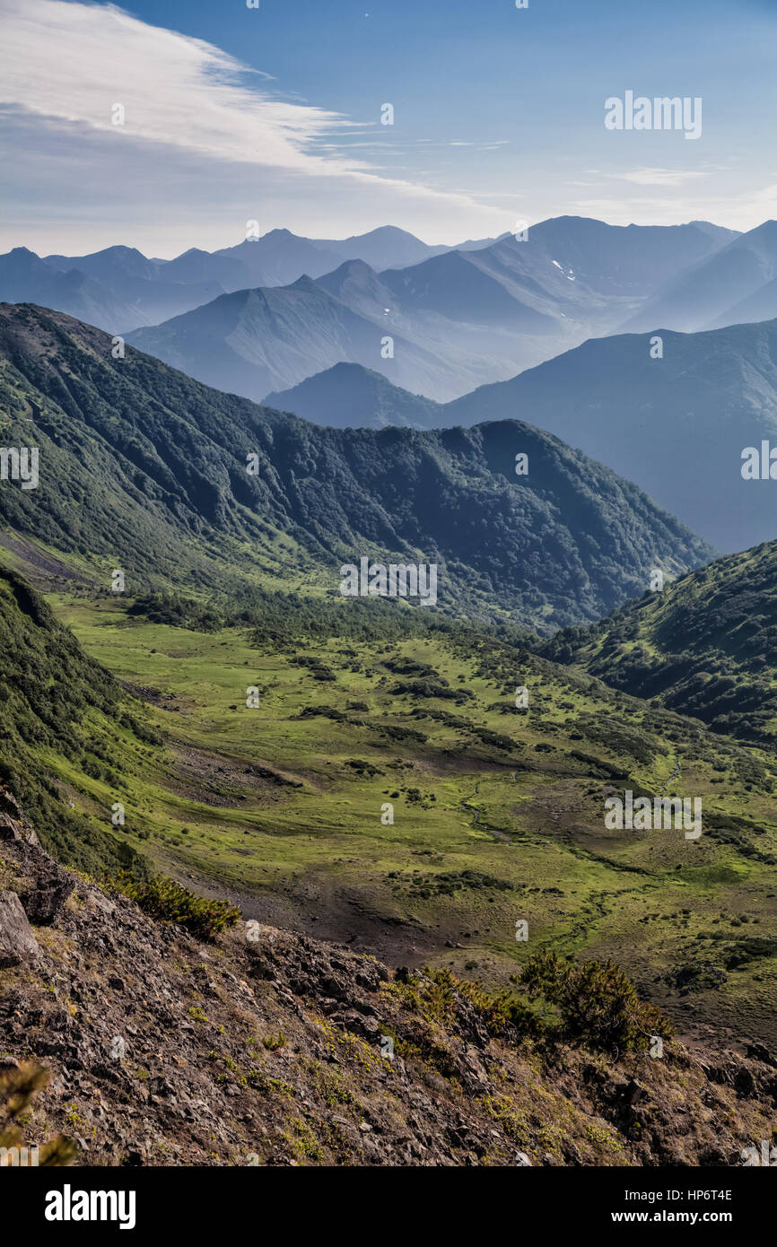 Flora of Kamchatka. Forests and fields. Nature of Kamchatka. Landscapes ...