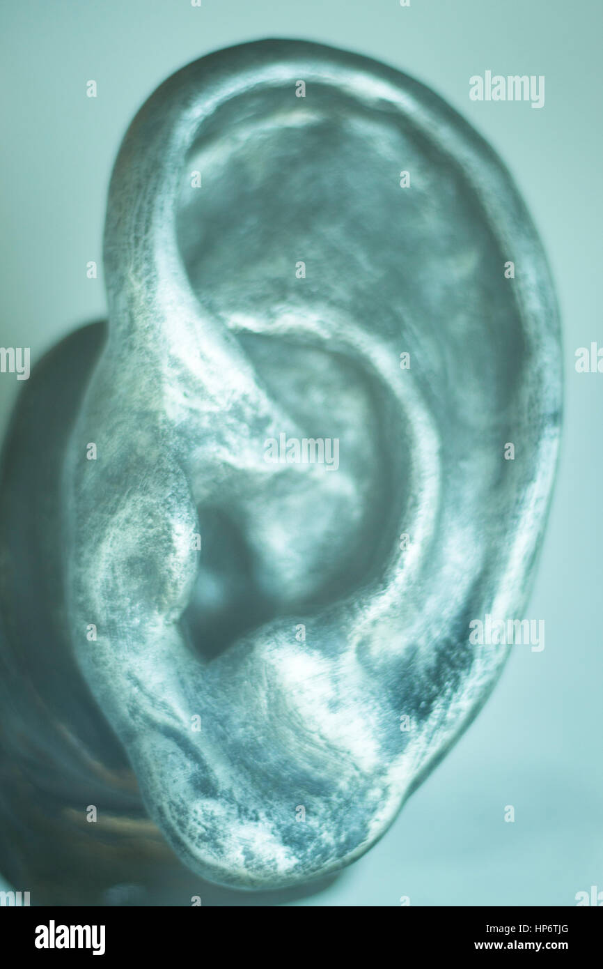 Human Nose Shape Close Up High Resolution Stock Photography and Images ...