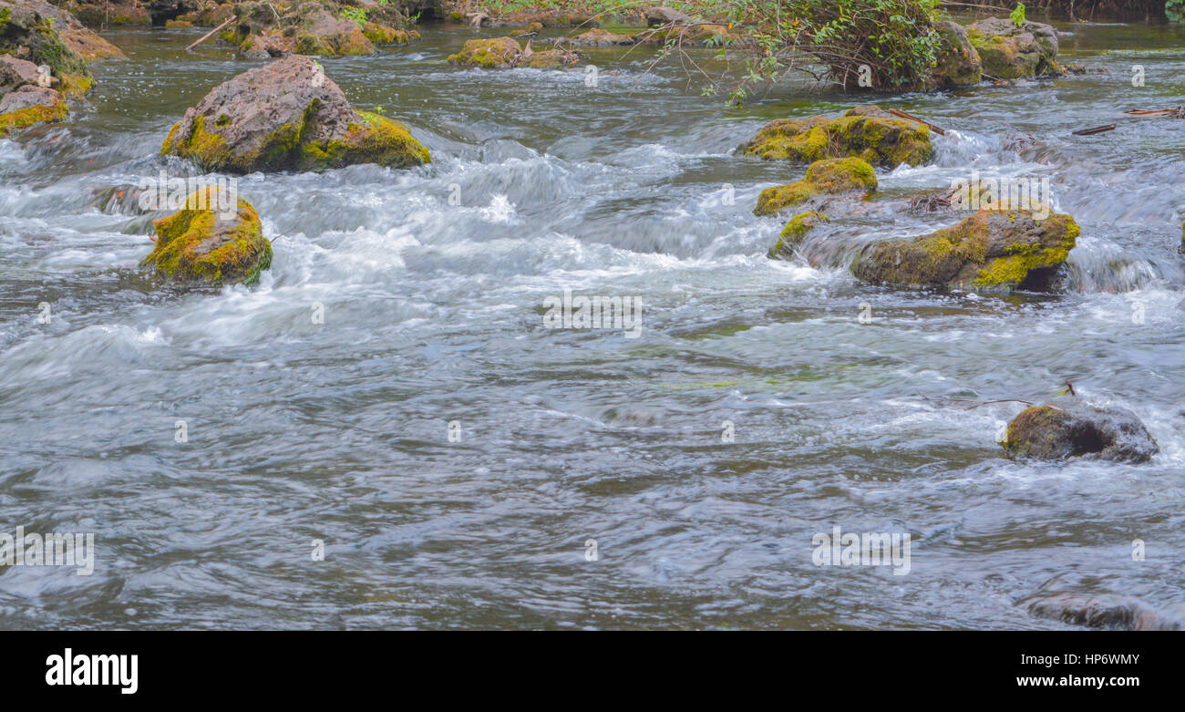 Hillsborough river state park hi-res stock photography and images - Alamy