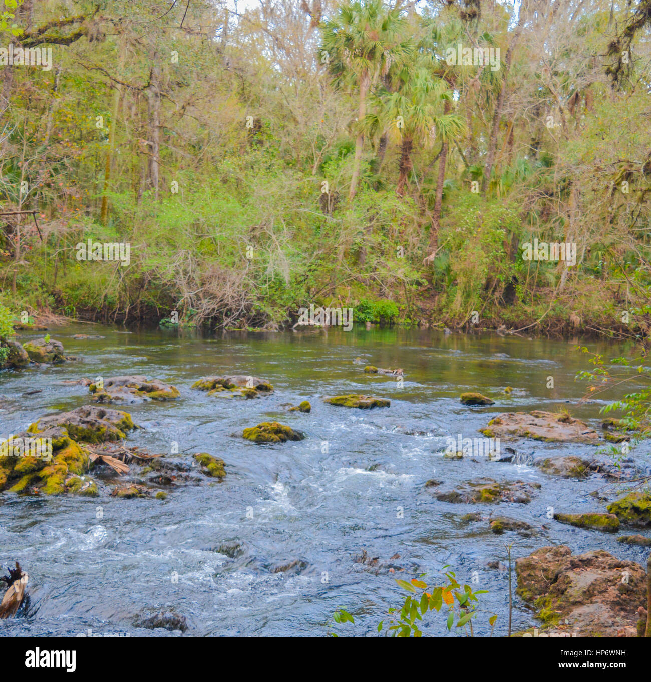Hillsborough river state park hi-res stock photography and images - Alamy