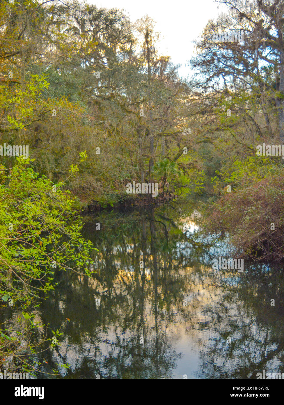 Hillsborough river state park hi-res stock photography and images - Alamy