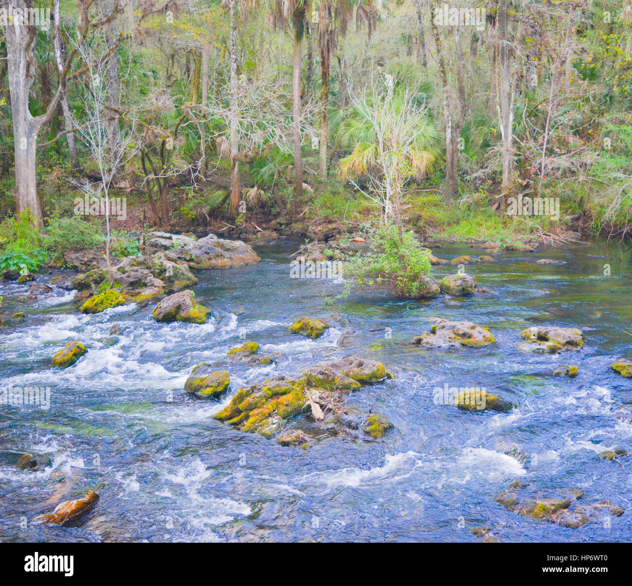 The river at Hillsborough River State Park Stock Photo - Alamy